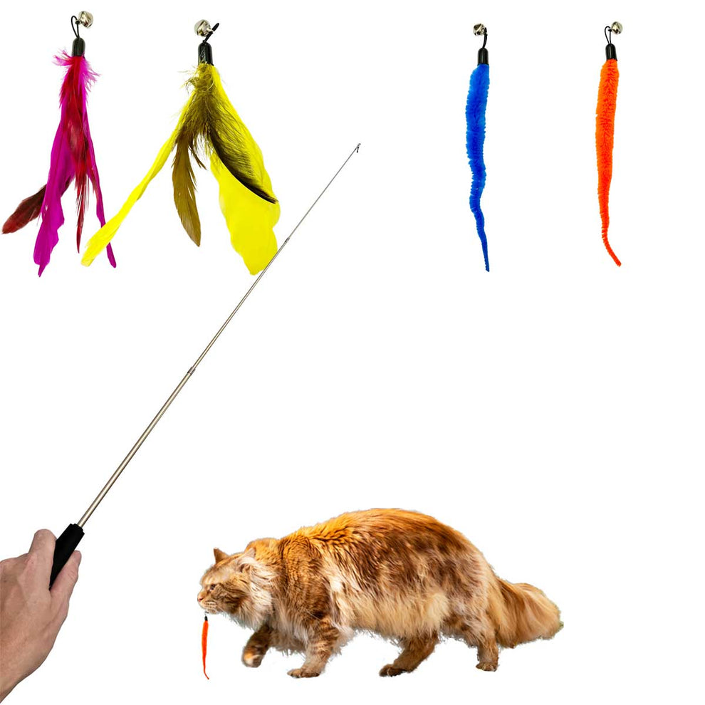 Feather Wand Cat Toy Set | Interactive Play for Cats | HealthyKitty ...